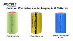 The Complete Guide to Rechargeable D Batteries for Industrial and ...